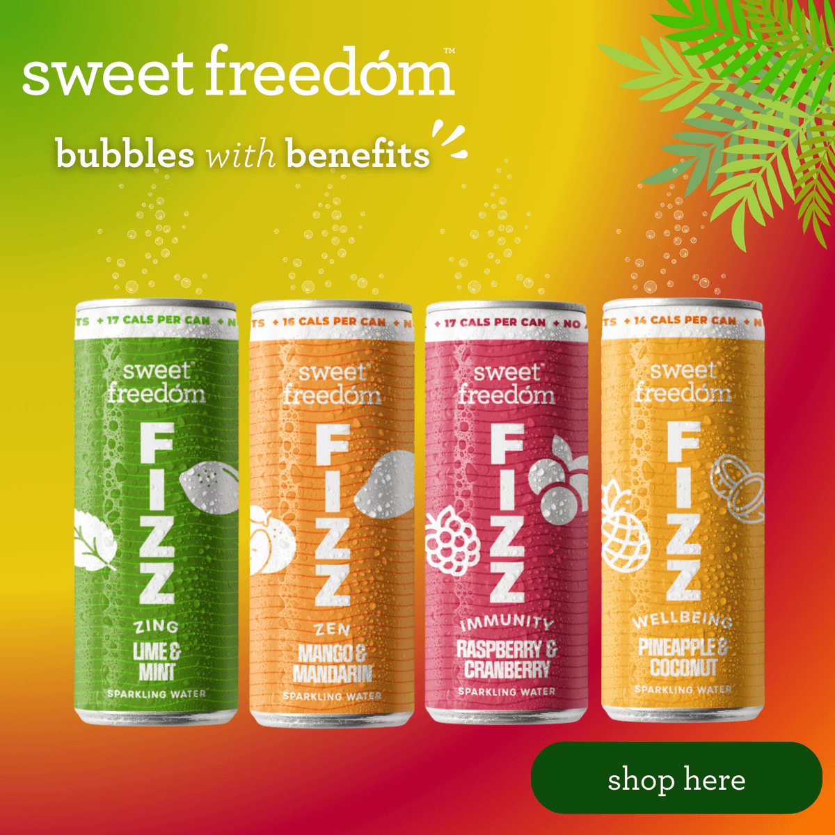 top fizzy water brands: why Sweet Freedom FIZZ stands out